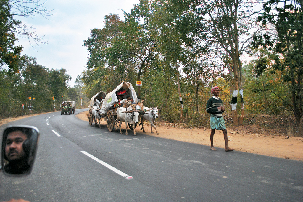 Telangana: Sammakka Sarakka Jatara - Outlook Traveller