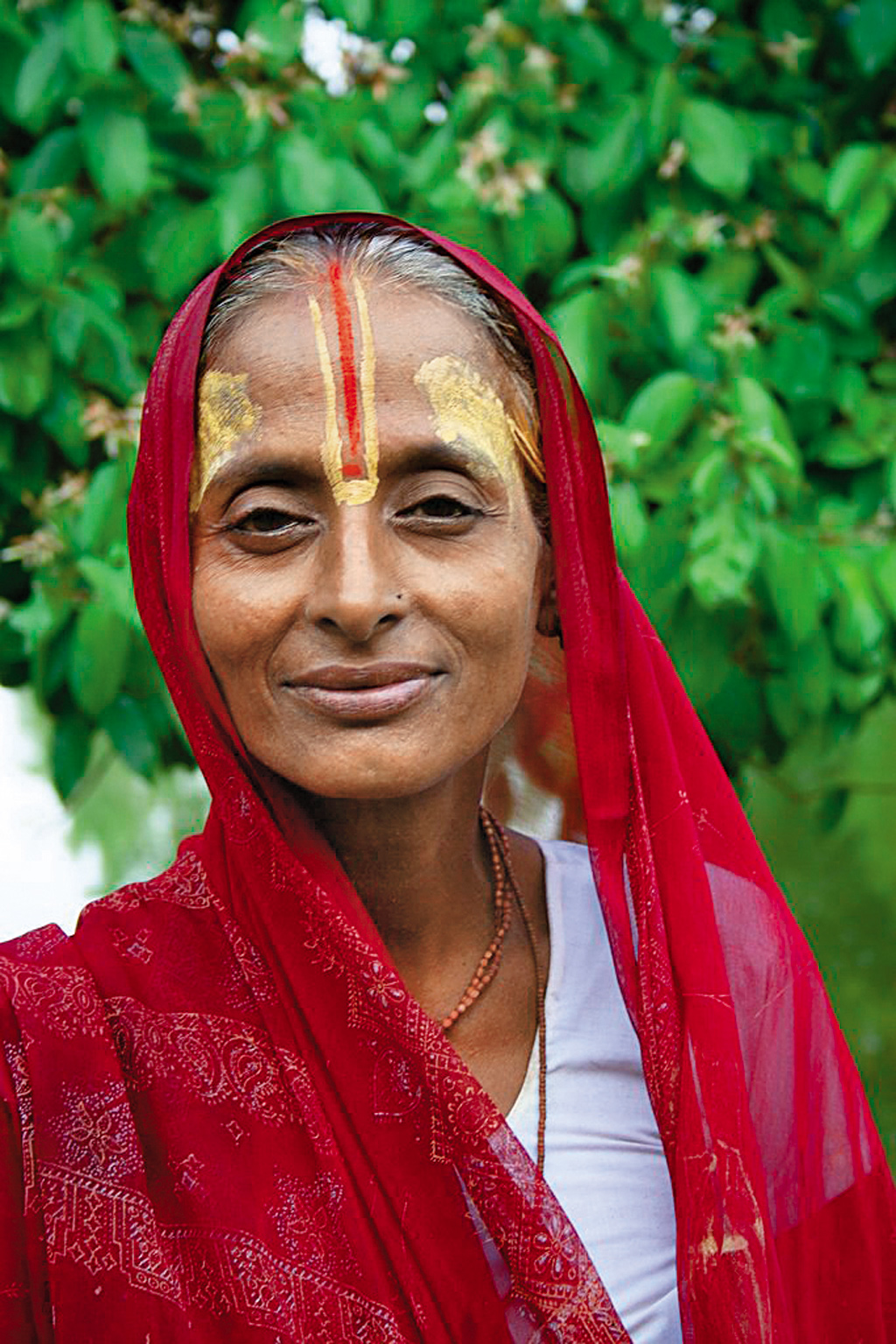 Quick Guides: Languages of Bihar