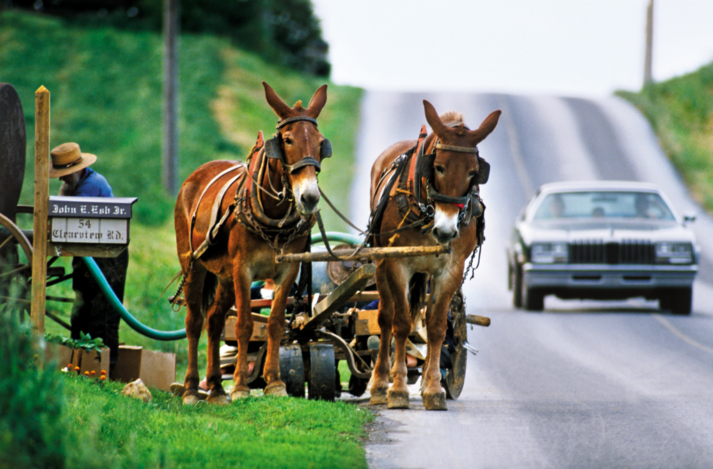 USA: The Amish Experience