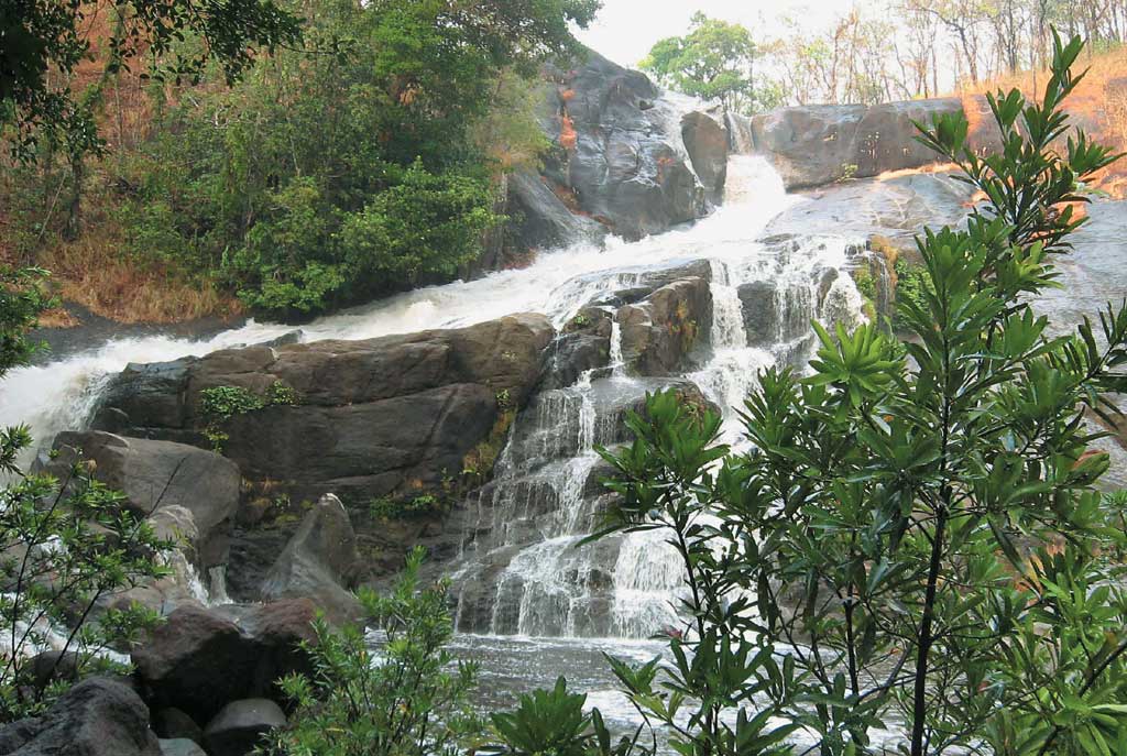 Ponmudi: A Walk in the Clouds
