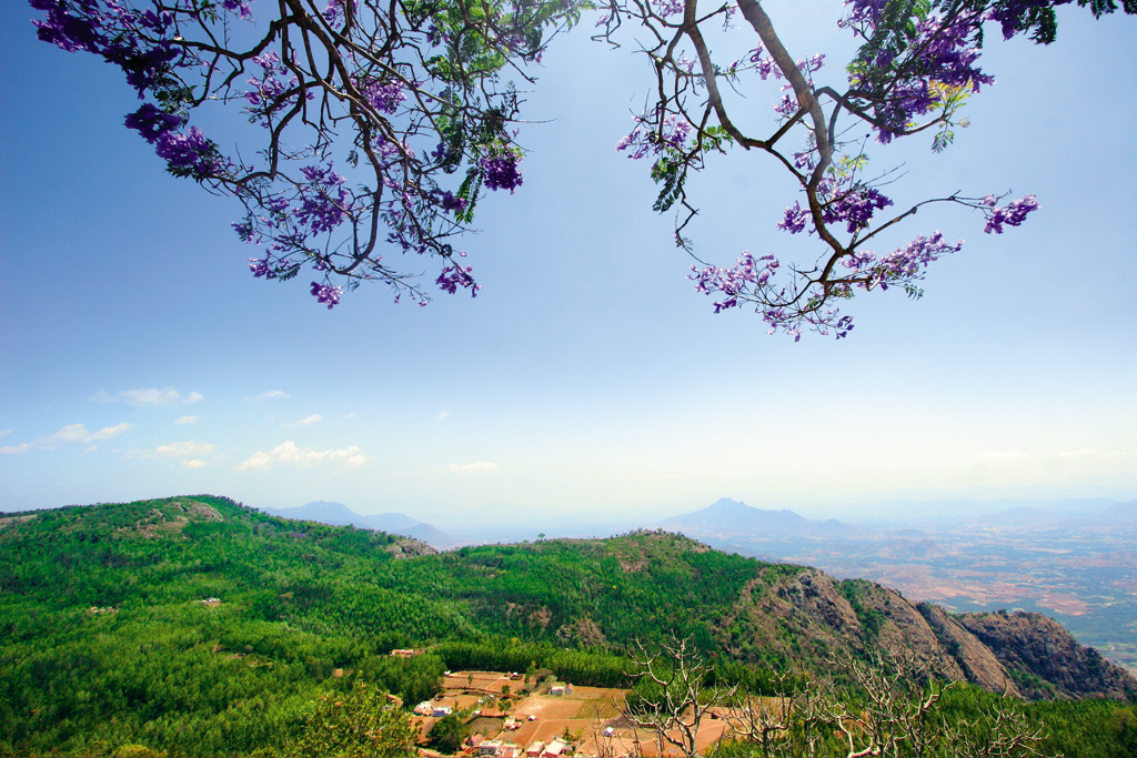 Tamil Nadu: A Quick Guide To Yercaud