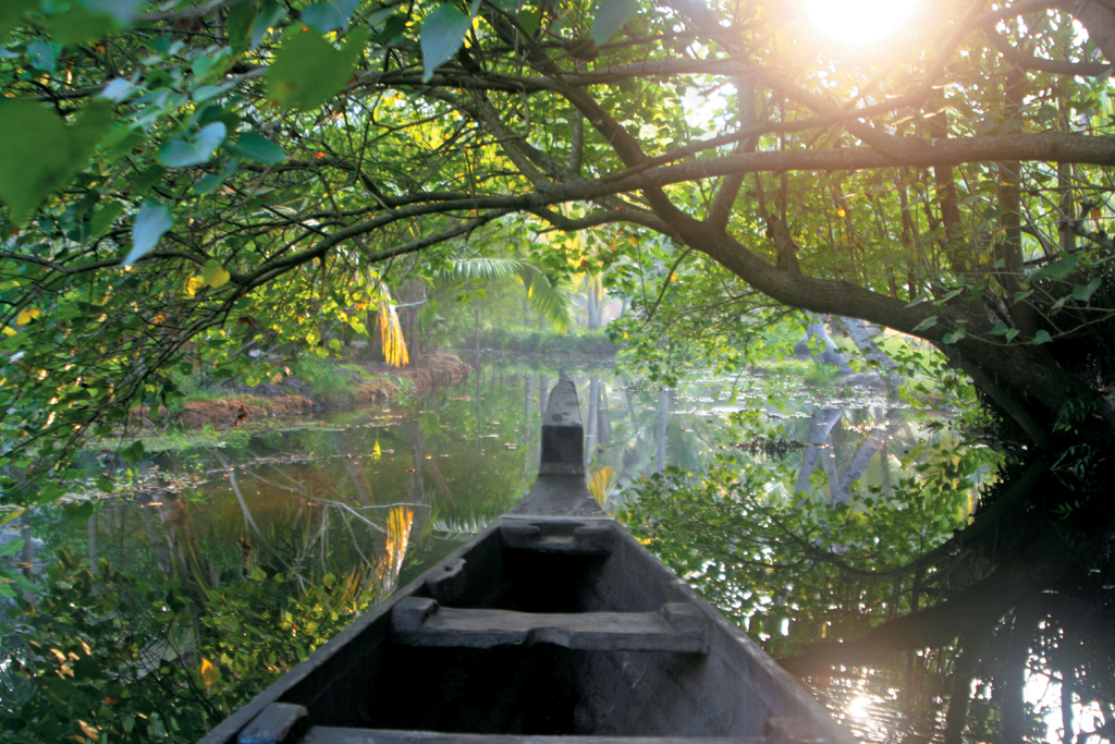 The Alleppey Backwaters