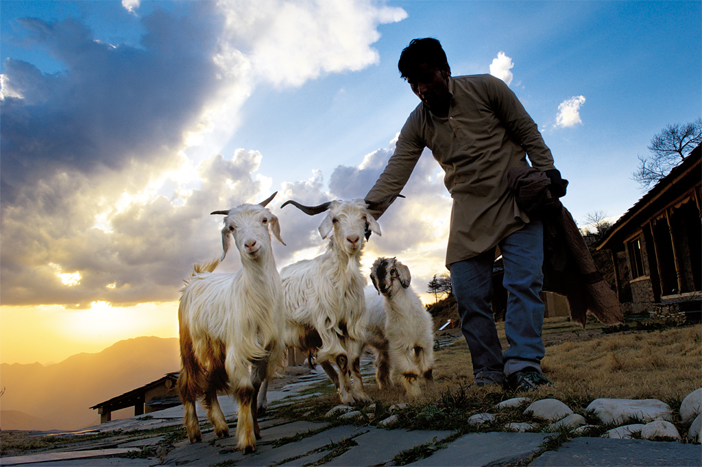 Uttarakhand: The Goat Village