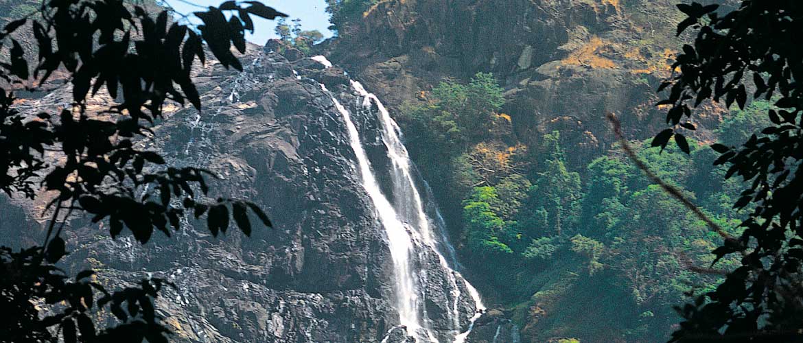 Mollem National Park - Outlook Traveller