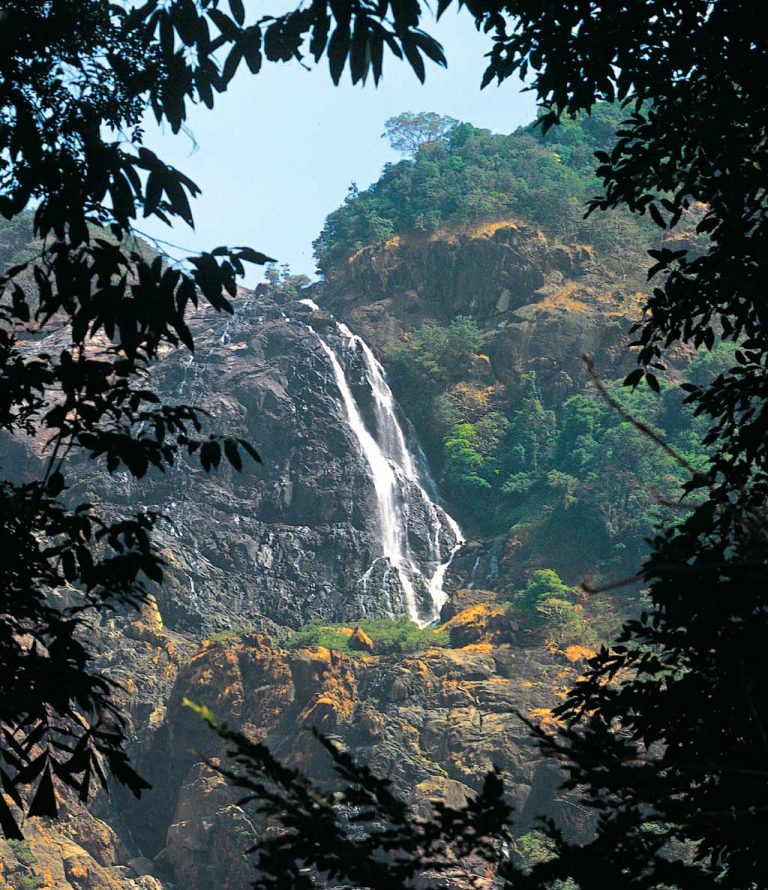 Mollem National Park