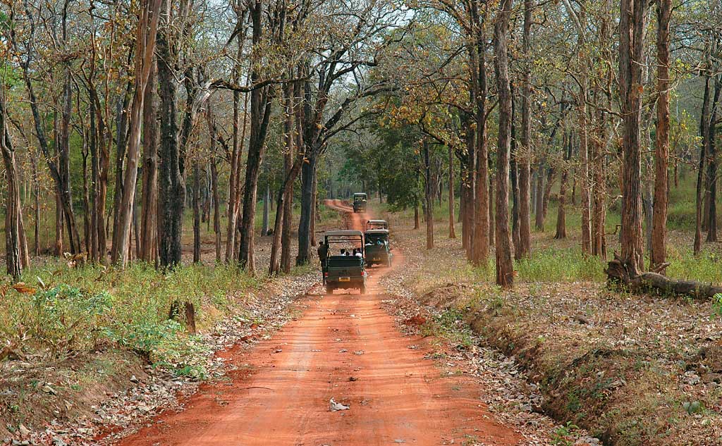 Nagarhole National Park