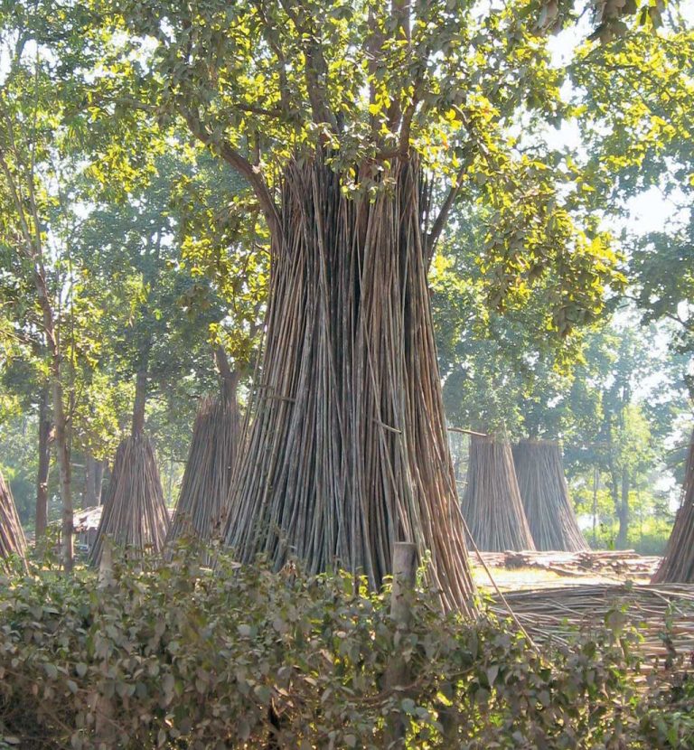 Kanger Valley National Park
