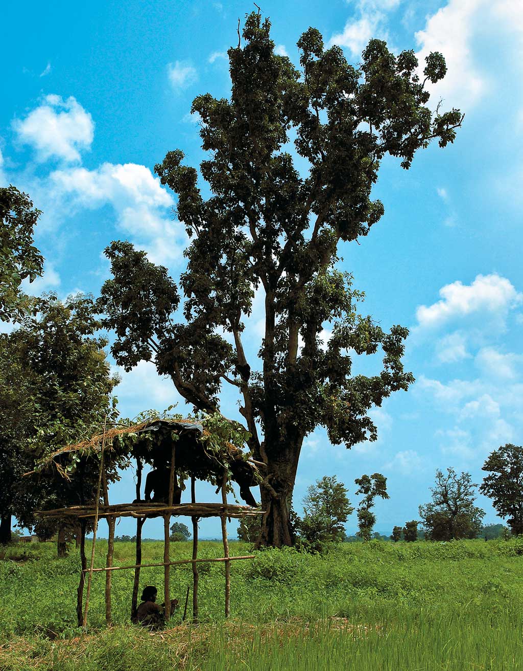 Barnawapara Wildlife Sanctuary