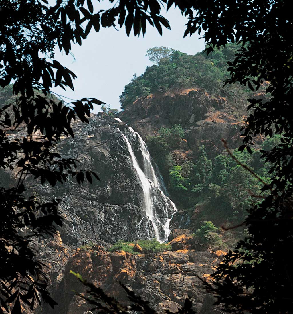 Mollem National Park