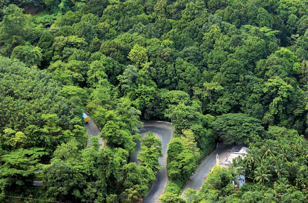 Vythiri: Rainforest Getaway - Outlook Traveller