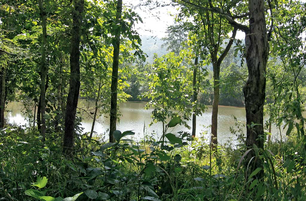 Udanti Wildlife Sanctuary