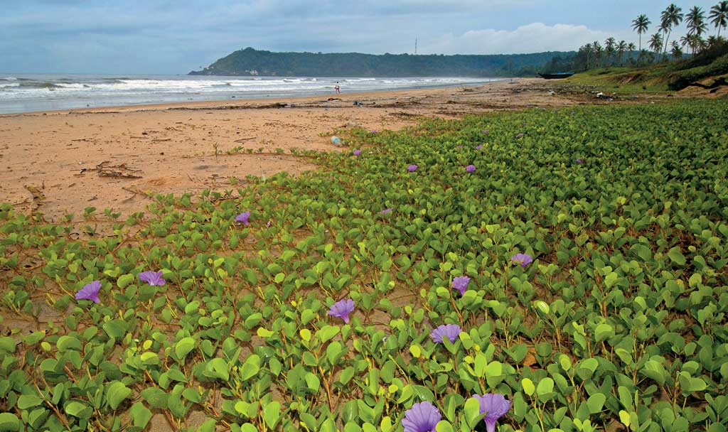 Vengurla: The Good Life - Outlook Traveller