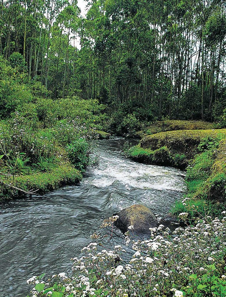 Bellikkal: In Nature’s Lap