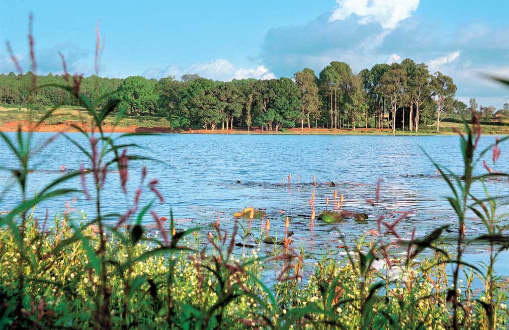 Betla National Park