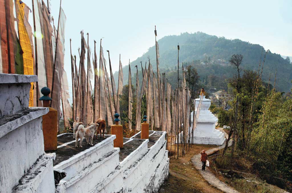 Tashiding: Gompa Hopping