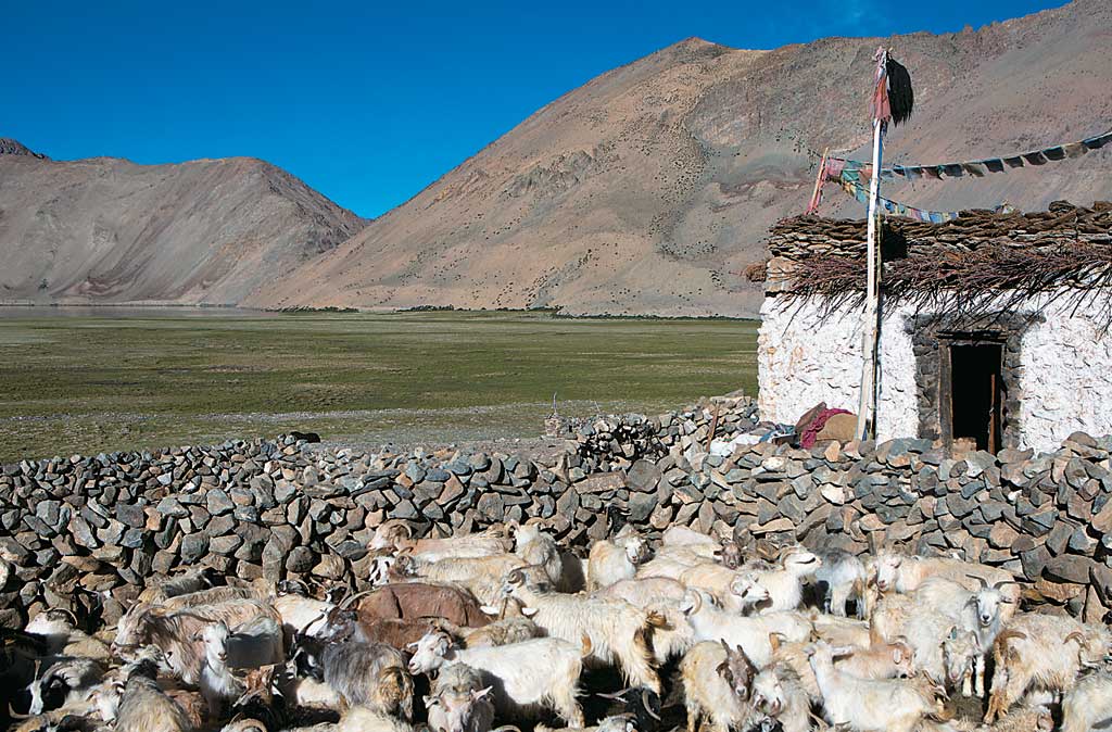 The Great Lakes of Changthang Plateau