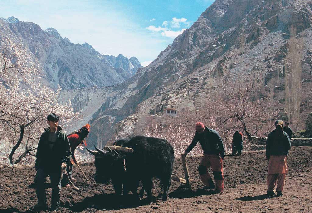 Dah-Hanu: A Timeless Place