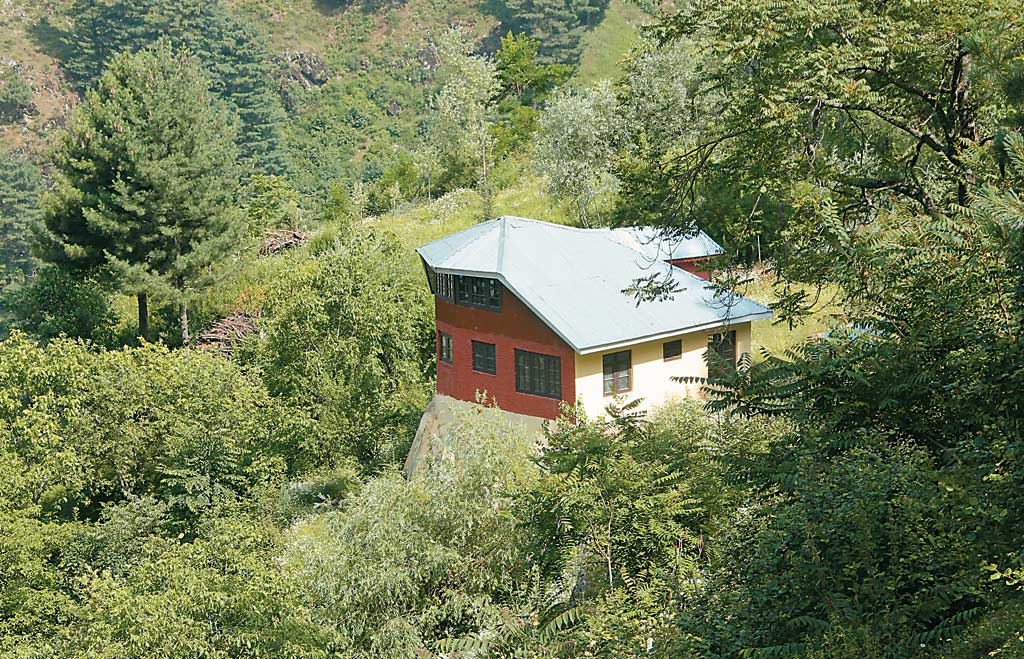 Tangmarg: Strawberries and Green