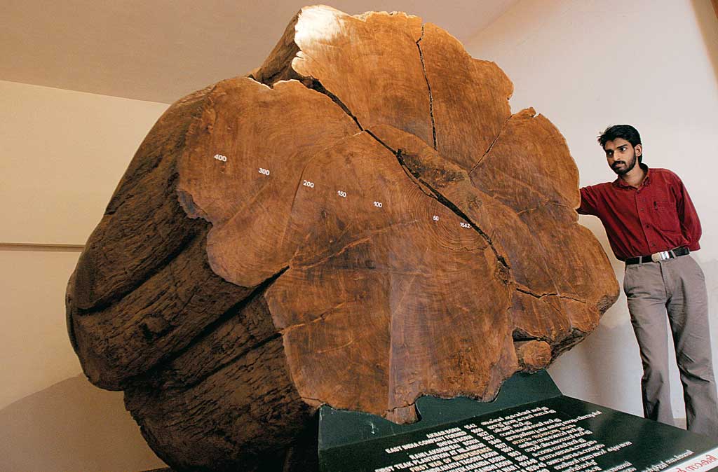 Perinthalmanna: An Antique Land