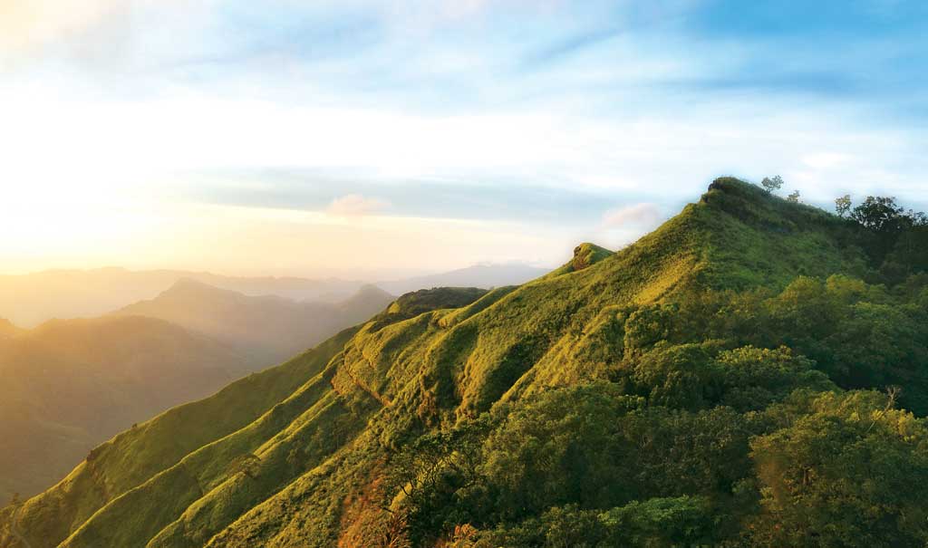 Reiek: Land of Myths and Flowers