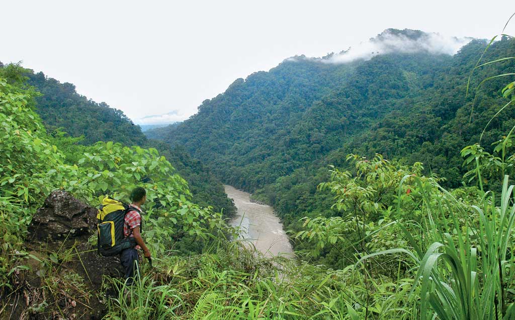 Namdapha National Park: Roar of the Wild
