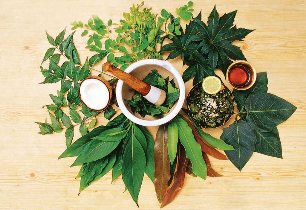 Kerala Ayurveda