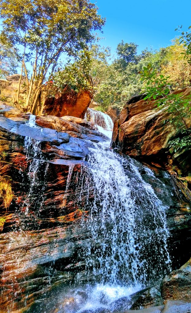 5 Best Wildlife Sanctuaries Of Bengal