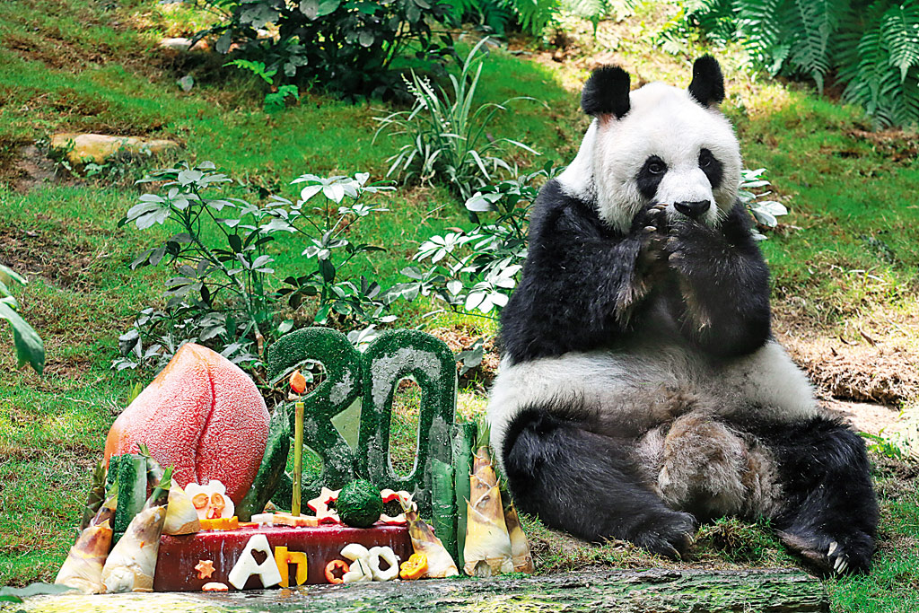 Ocean Park Hong Kong is all About Edutainment - Outlook Traveller