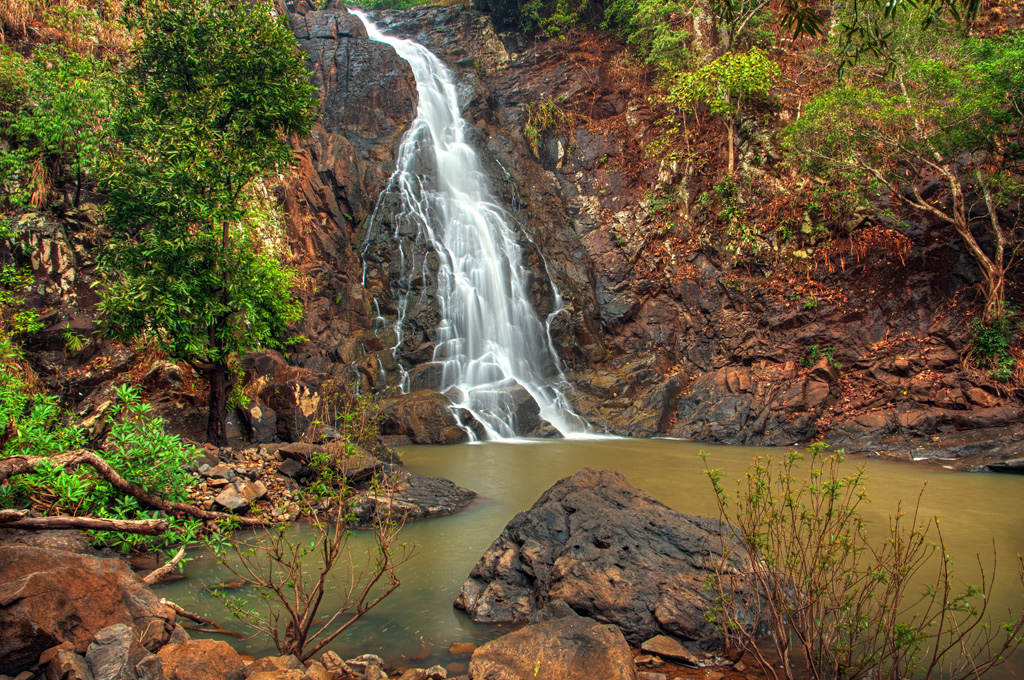 5 Top Wildlife Destinations of Odisha
