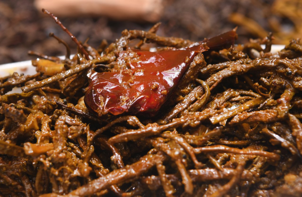 In Search of the Mathania Chilli