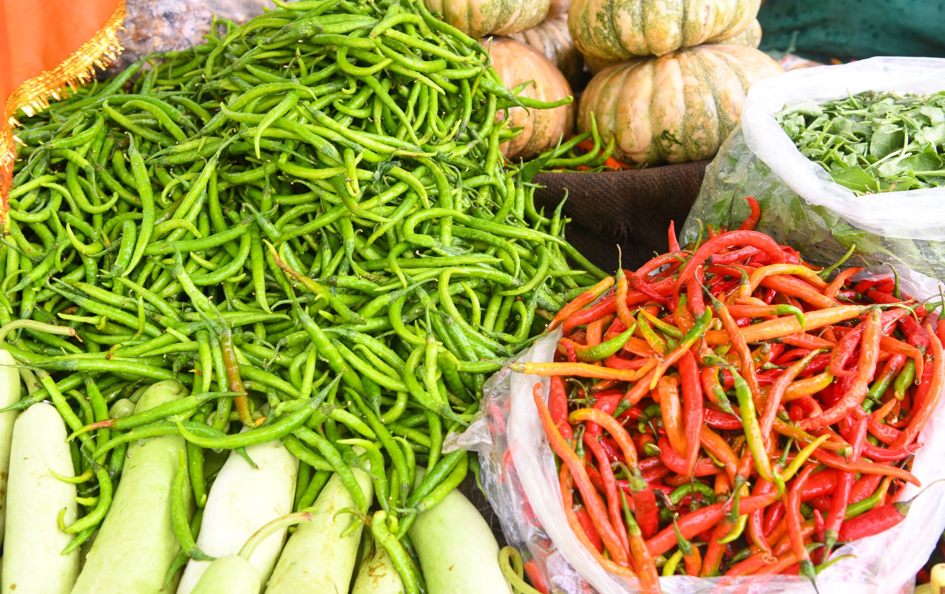 In Search of the Mathania Chilli